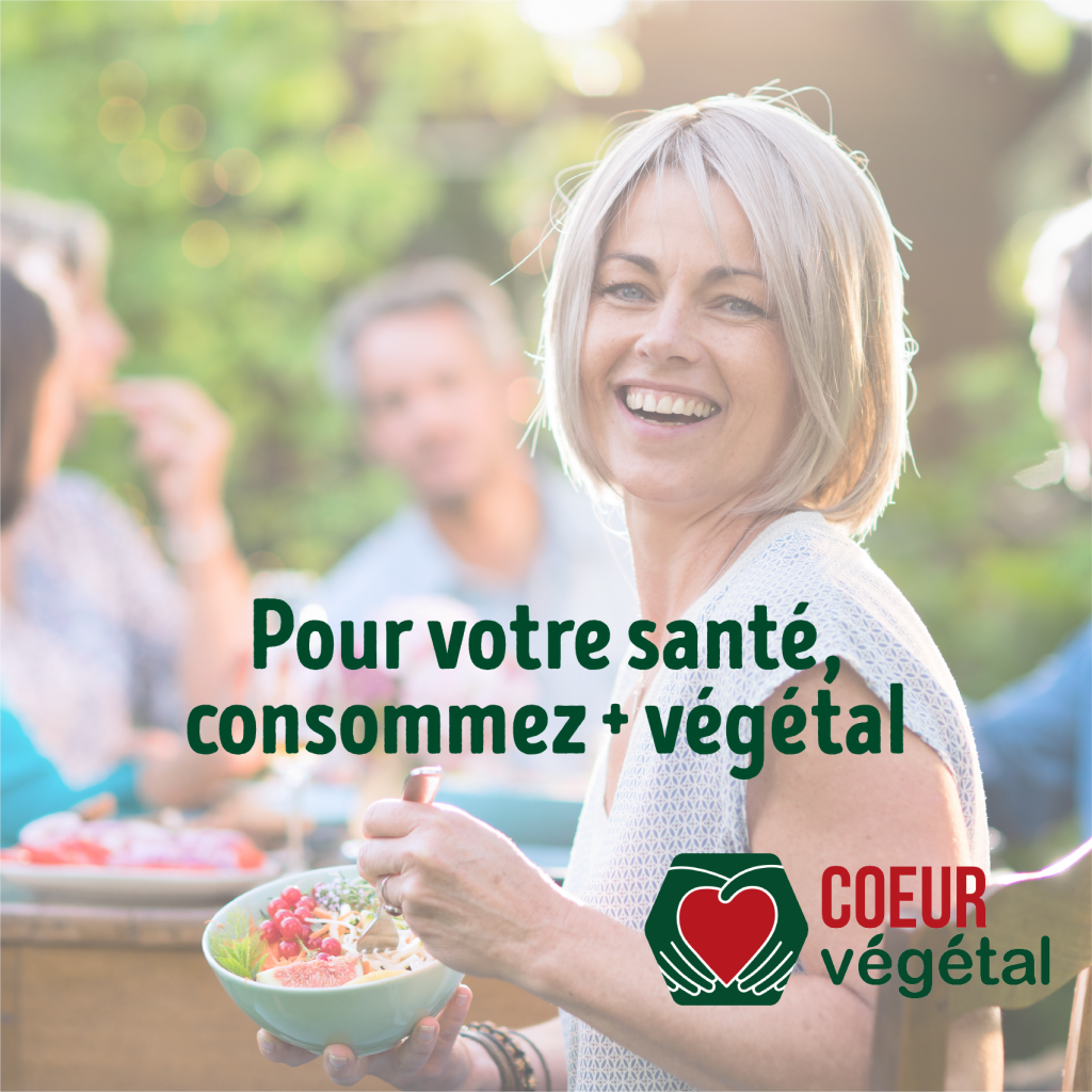 Voilà l’été : pleins feux sur les fruits et légumes d’été bons pour le ...